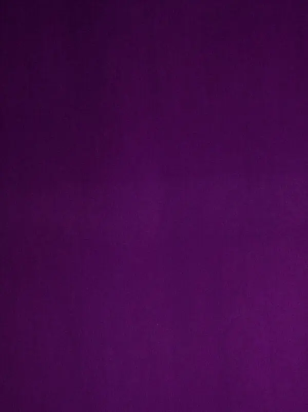 Max Mara Finished Edge Silk Scarf - Purple