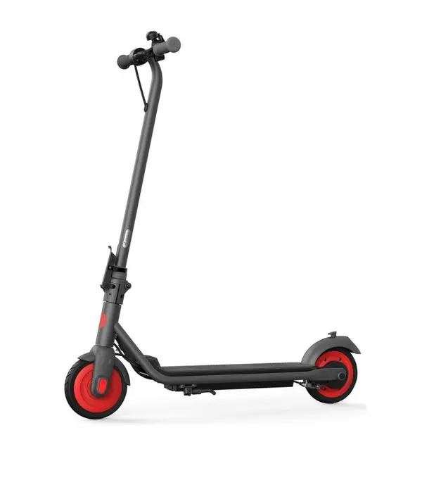 SEGWAY Ninebot Zing C20 Electric Scooter