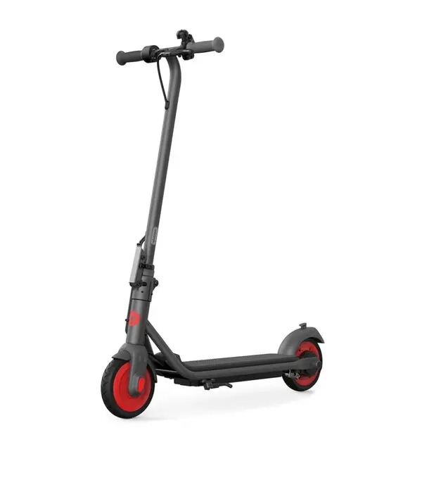 SEGWAY Ninebot Zing C20 Electric Scooter