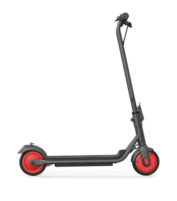 SEGWAY Ninebot Zing C20 Electric Scooter