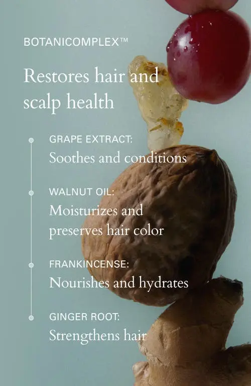 ROZ Foundation Shampoo $95 Value - No Color