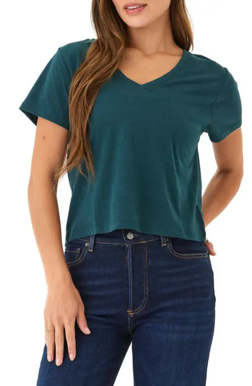 THREADS 4 THOUGHT Ada V-neck T-shirt - Serrano