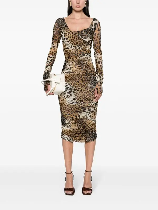 Roberto Cavalli Leopard-print Mesh Midi Dress