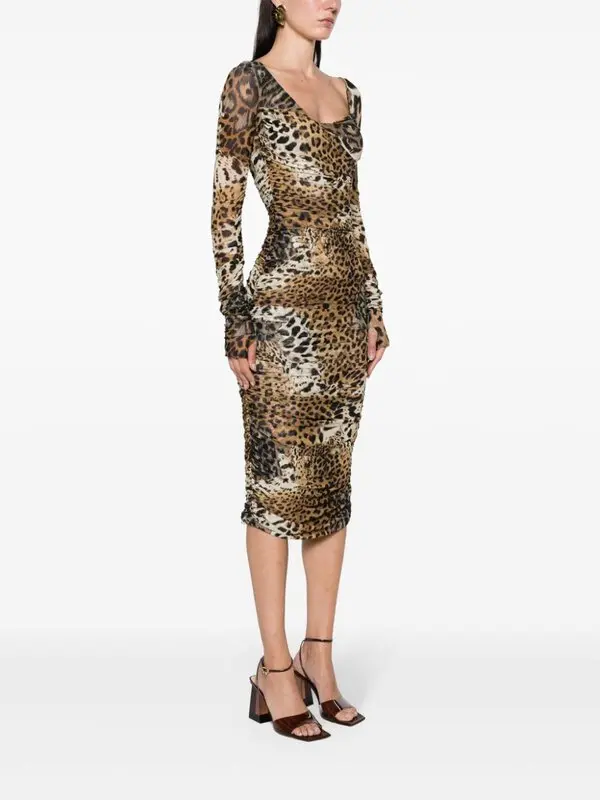 Roberto Cavalli Leopard-print Mesh Midi Dress