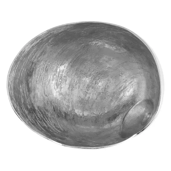 Michael Aram Ocean Reef Small Bowl