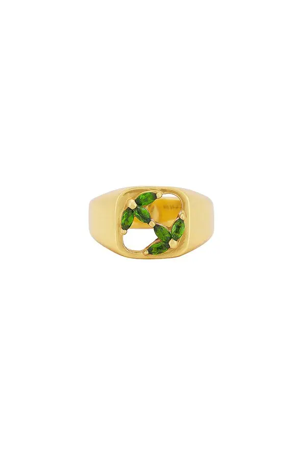 MAPLE 3am Signet Ring - 14k Gold Plated