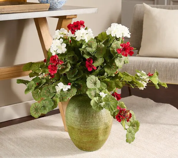 VALERIE PARR HILL Indoor/outdoor Geranium Urn Filler Valerie - One-color