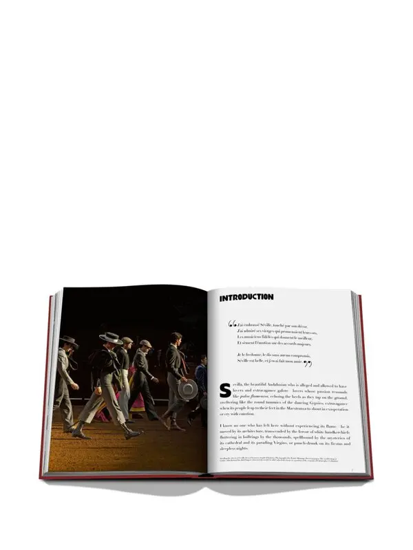 Assouline Sevilla Arte Paul-maxime Koskas Hardcover Book - Red
