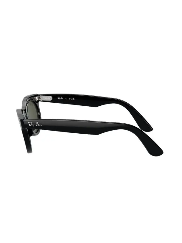 Ray-ban Wayfarer Oval-frame Sunglasses