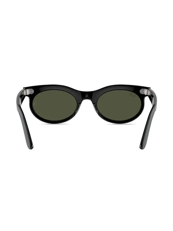 Ray-ban Wayfarer Oval-frame Sunglasses