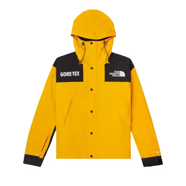 The North Face Gtx Mountain Jacket