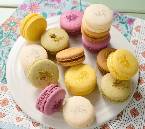 SAVOR PATISSERIE 20 Piece French Macarons - One-color
