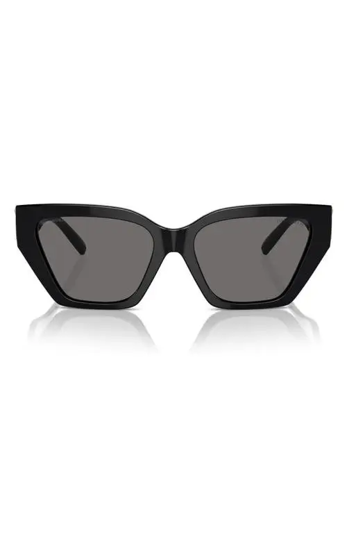 Tiffany & Co. 55mm Polarized Cat-eye Sunglasses - Black