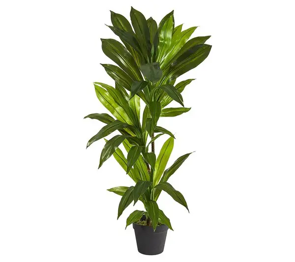 NEARLY NATURAL 3' Dracaena Artificial Plant - One-color