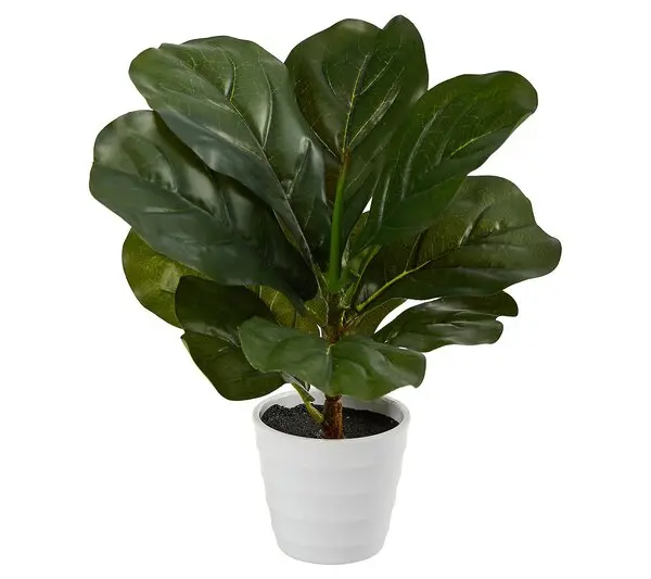 NEARLY NATURAL 11' Fiddle Leaf Artificial Plant In Planter - One-color