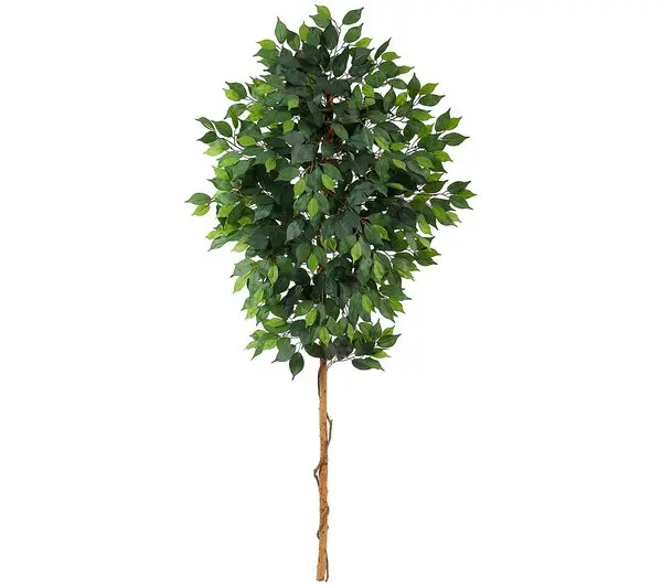 NEARLY NATURAL 6' Ficus Artificial Tree - One-color