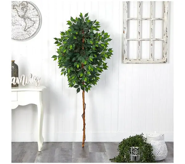NEARLY NATURAL 6' Ficus Artificial Tree
