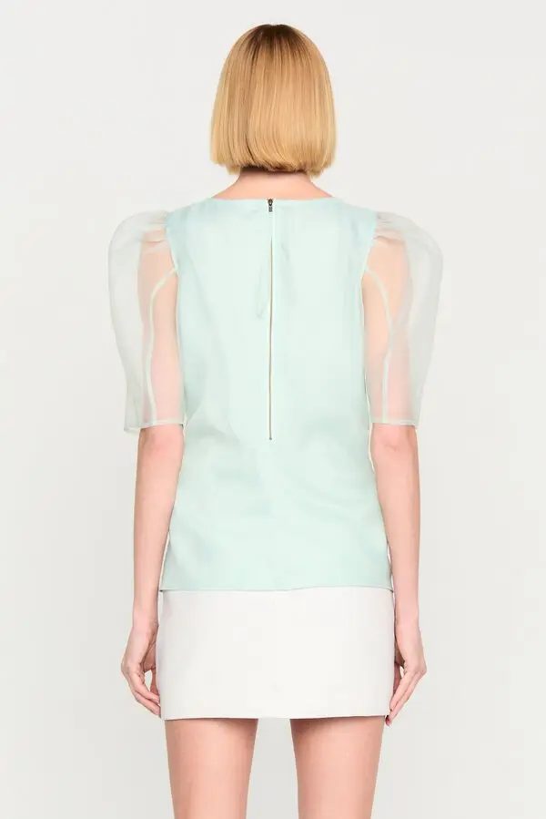 MARIE OLIVER Addie Blouse Sheer Voluminous Sleeves, V-neck