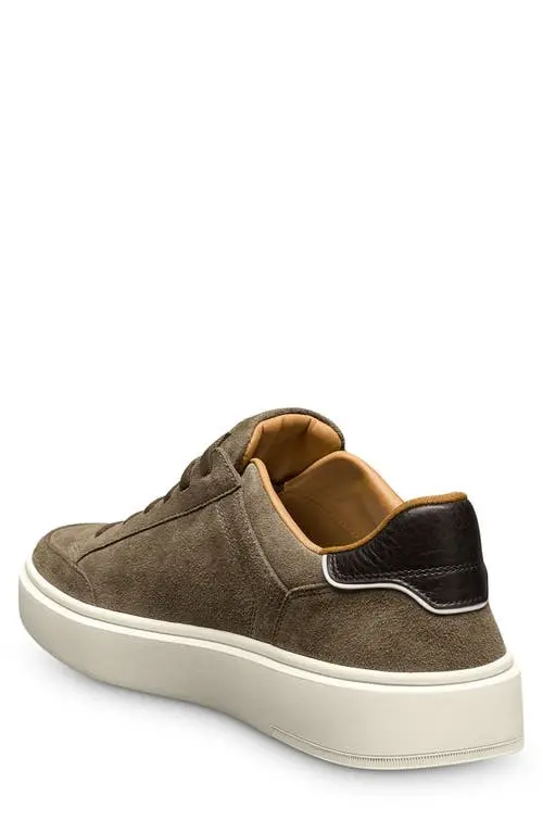 Allen Edmonds Oliver Leather Sneaker - Tobacco