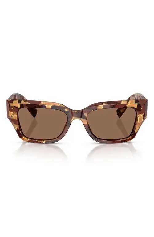 Dolce & Gabbana 52mm Cat Eye Sunglasses - Pearl Havana Brown/brown
