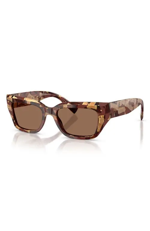 Dolce & Gabbana 52mm Cat Eye Sunglasses - Pearl Havana Brown/brown
