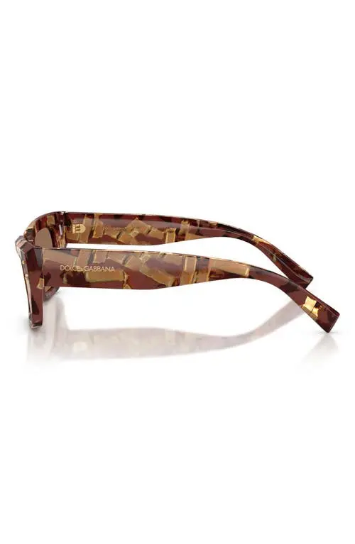 Dolce & Gabbana 52mm Cat Eye Sunglasses - Pearl Havana Brown/brown