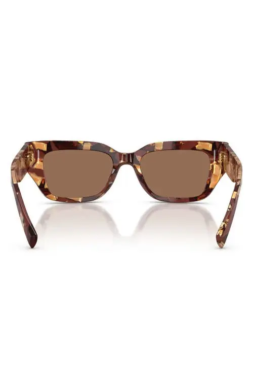 Dolce & Gabbana 52mm Cat Eye Sunglasses - Pearl Havana Brown/brown
