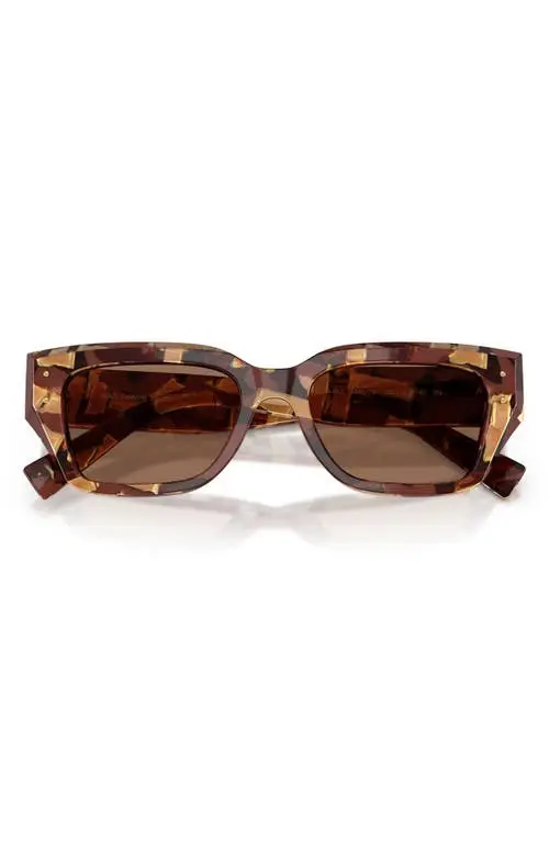 Dolce & Gabbana 52mm Cat Eye Sunglasses - Pearl Havana Brown/brown
