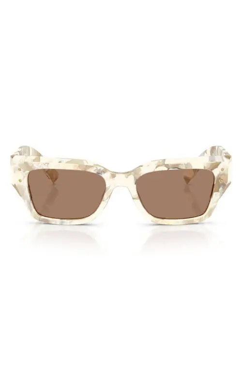 Dolce & Gabbana 52mm Cat Eye Sunglasses - Pearl Havana Cream/brown