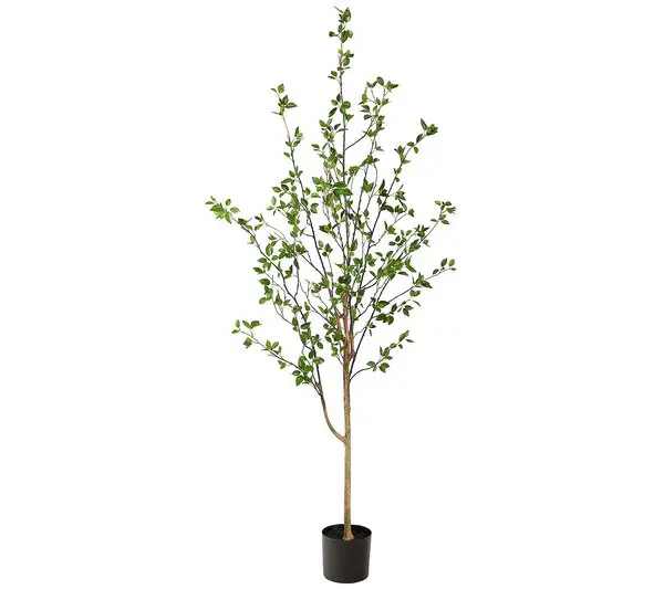 NEARLY NATURAL 6.5' Minimalist Citrus Artificia L Tree - One-color