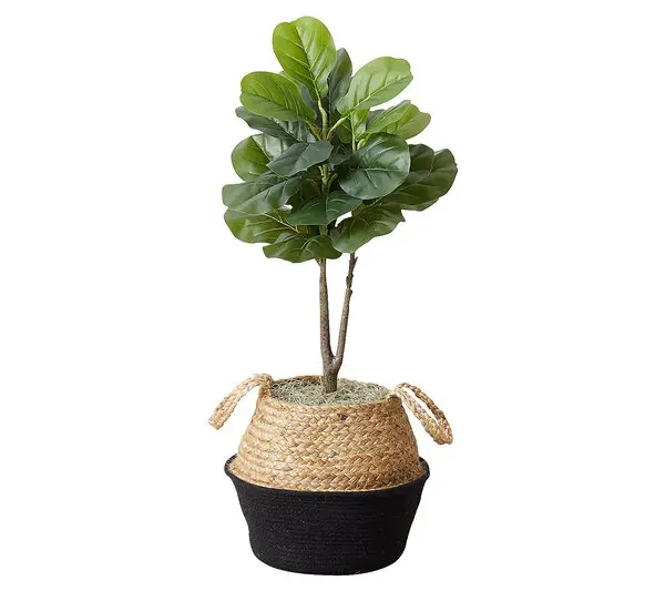 NEARLY NATURAL 3' Artificial Fiddle Leaf Fig Tr Ee Diy Kit - One-color