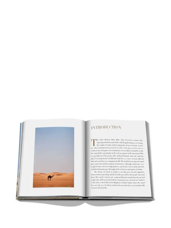 Assouline Camels From Saudi Arabia