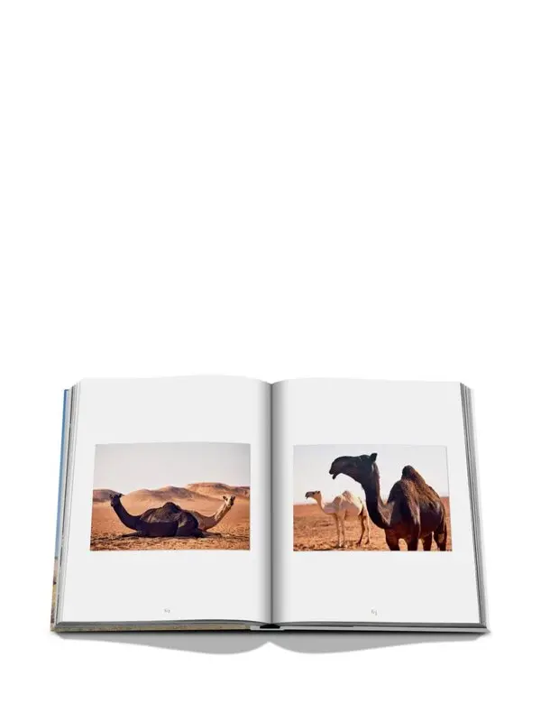 Assouline Camels From Saudi Arabia
