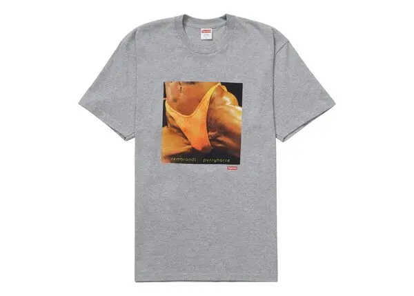 Supreme Butthole Surfers Rembrandt Pussyhorse Tee Shirt - Heather Grey