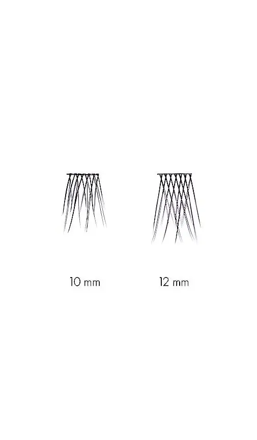 SWEED LASHES Long No Lash Cluster Duo In Black