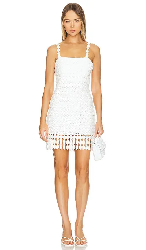 Saylor Caitriona Mini Dress