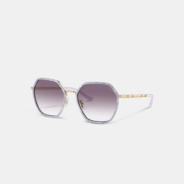 COACH Embellished Narrow Metal Hexagon Sunglasses - Purple Gradient