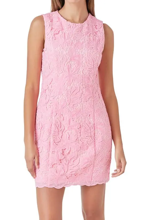 Endless Rose Sequin Lace Mini Dress