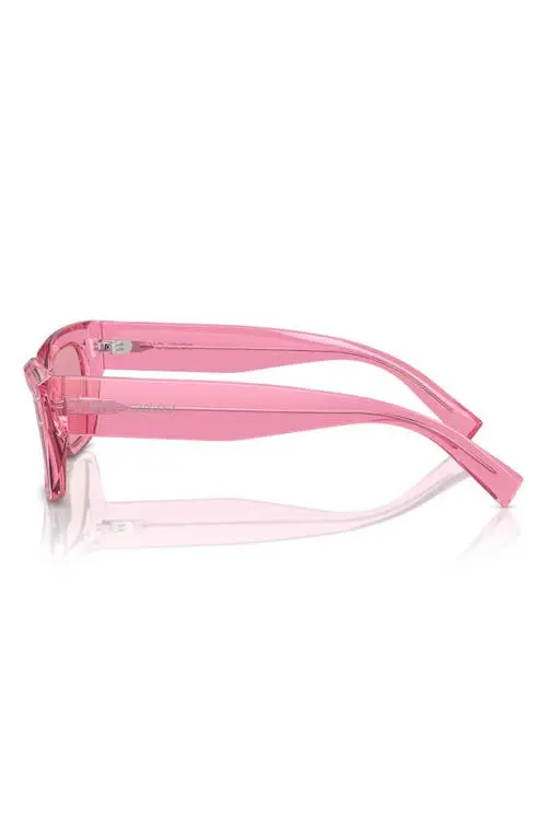 NWT-Dolce  & Gabbana 52mm Cat Eye Sunglasses Dolce&Gabbana 52mm Polarized Cat Eye Sunglasses | Nordstrom main image 3