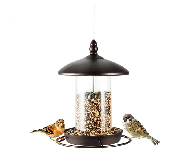 BACKYARD EXPRESSIONS Metal Hanging Bird Feeder Or Outside - One-color