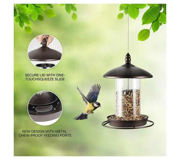 BACKYARD EXPRESSIONS Metal Hanging Bird Feeder Or Outside
