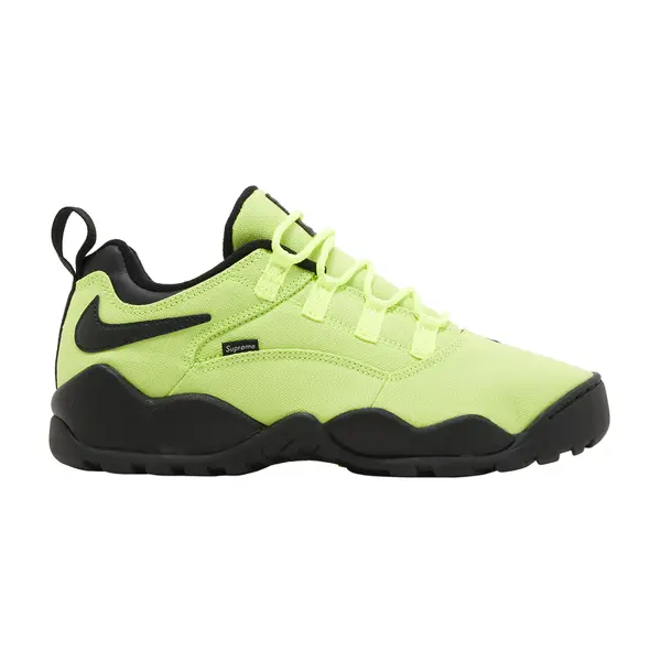 Nike Supreme X Darwin Low Sb Sneakers - Green