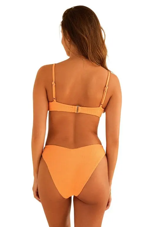 DIPPIN DAISY'S Angel Bottom - Reef