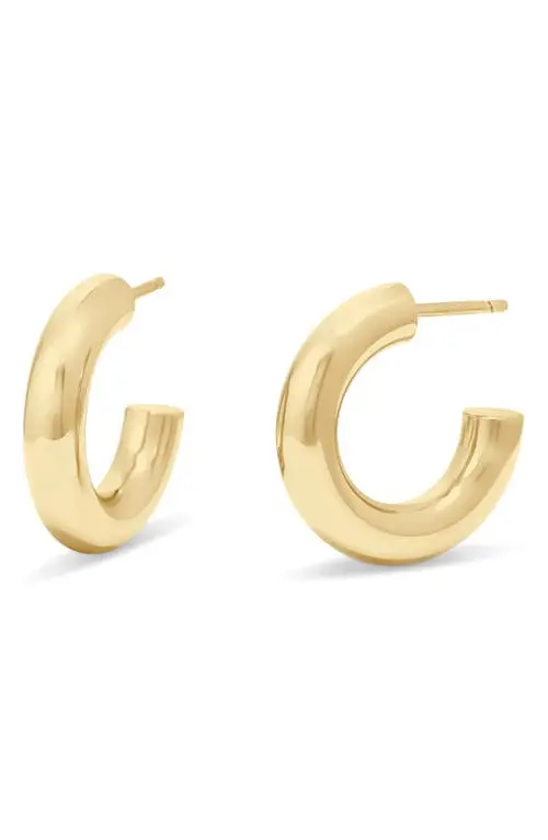 BROOK & YORK Rina Tube Hoop Earrings - Gold