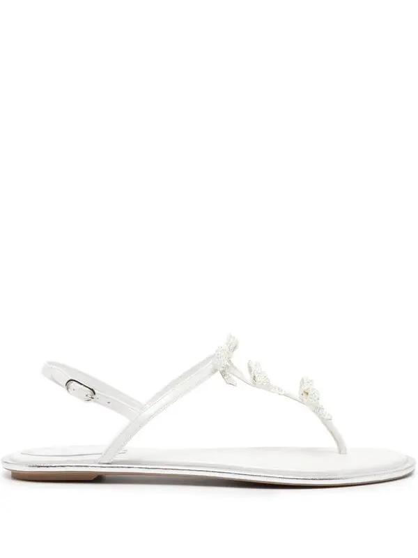 Rene Caovilla Caterina Thong Sandals