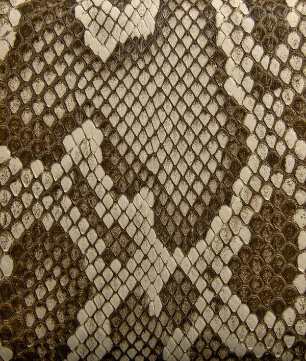 Bottega Veneta Python Minaudière With Knot Clasp - Roccia