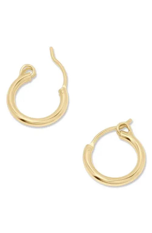 BROOK & YORK Nellie Hoop Earrings - Gold - 13mm