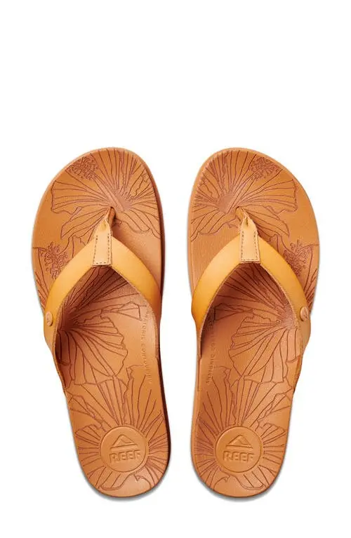 Reef Cushion Porto Cruz Flip Flop
