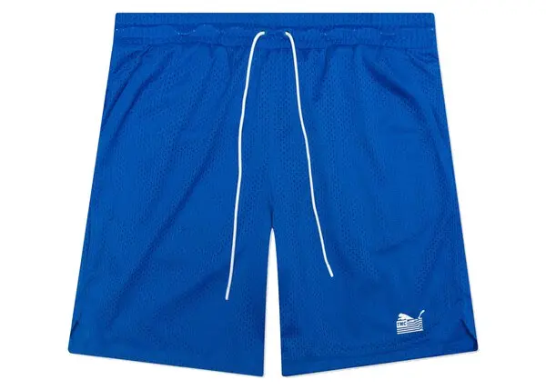 PUMA X Tmc Every Day Hussle Mesh Shorts - Blue