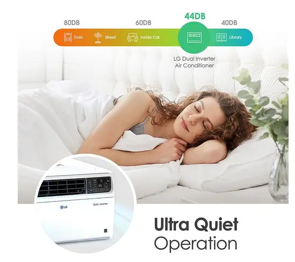 LG ELECTRONICS 6,000 Btu Dual Smart Window Air Onditoner